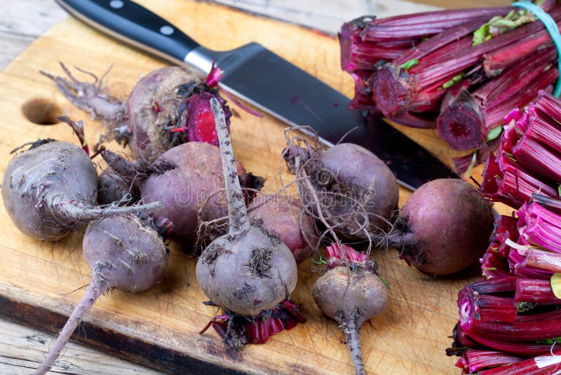 Cut Beetroots stock photo. Image of beet, purple, clean - 67145076