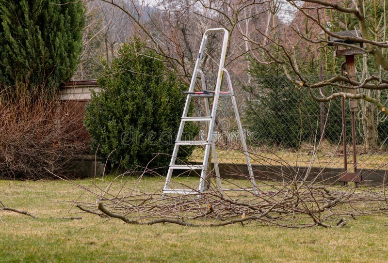 Cut Branches Lies on the Ground Under Tree. Spring Work. Brighten Trees ...