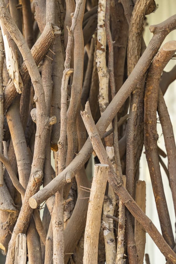 Cut Branches of a Tree Stacked in Pile Stock Photo - Image of outdoor ...