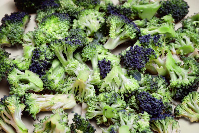 Cut broccoli stock photo. Image of gourmet, focus, cook - 18762458