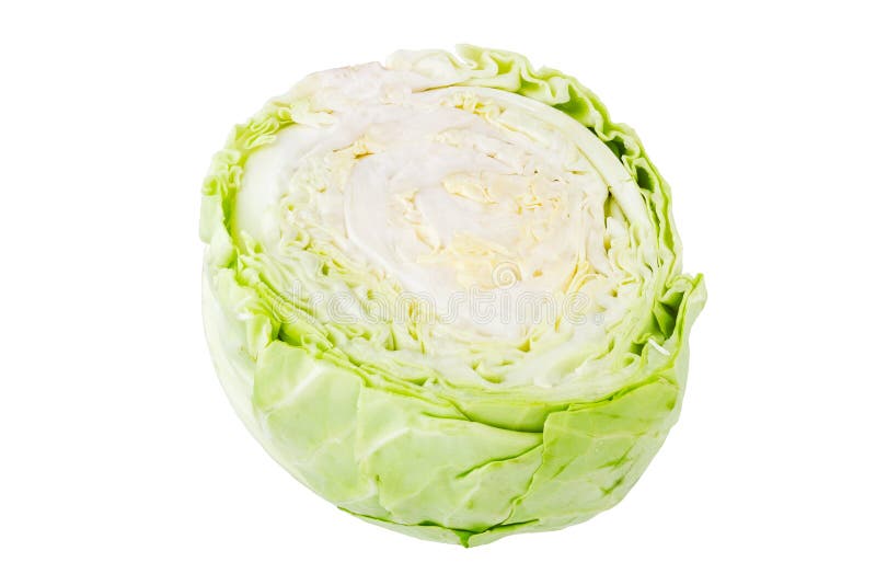 Cut cabbage stock photo. Image of green, organic, fresh - 19915898