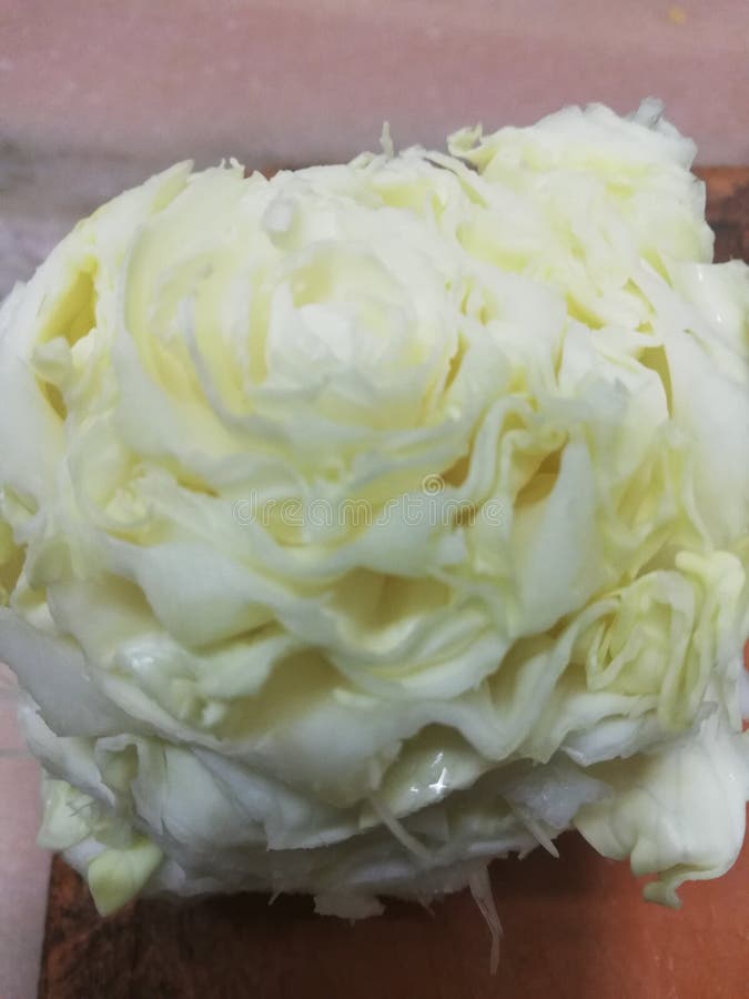 Cut cabbage or a flower stock photo. Image of vegetable - 167969168