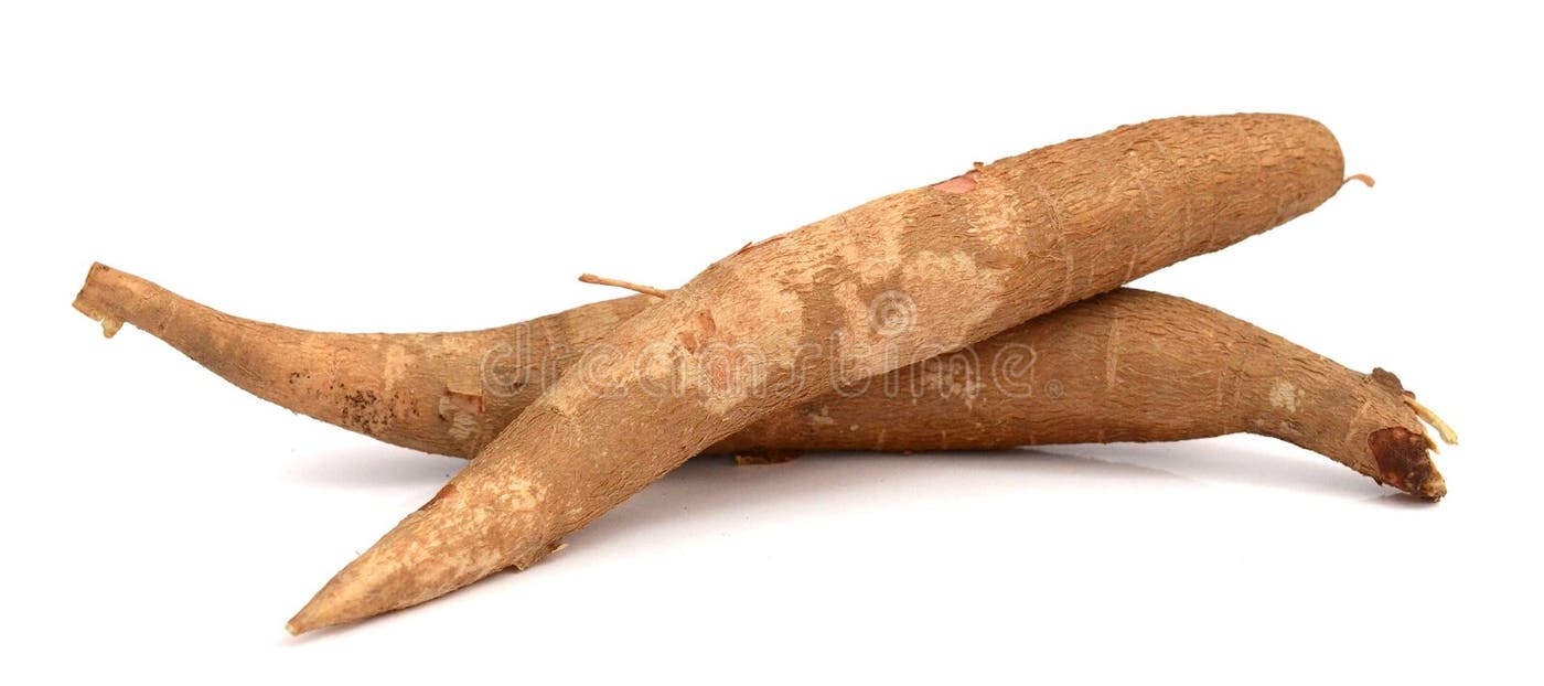 260 Fresh Cassava Slices Stock Photos - Free & Royalty-Free Stock ...