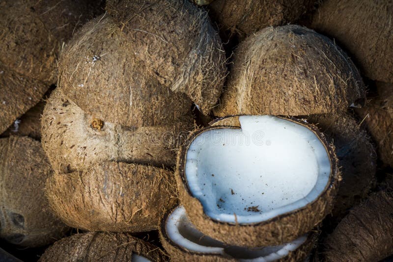 Cut coconut stock image. Image of copra, macro, nature - 31299059