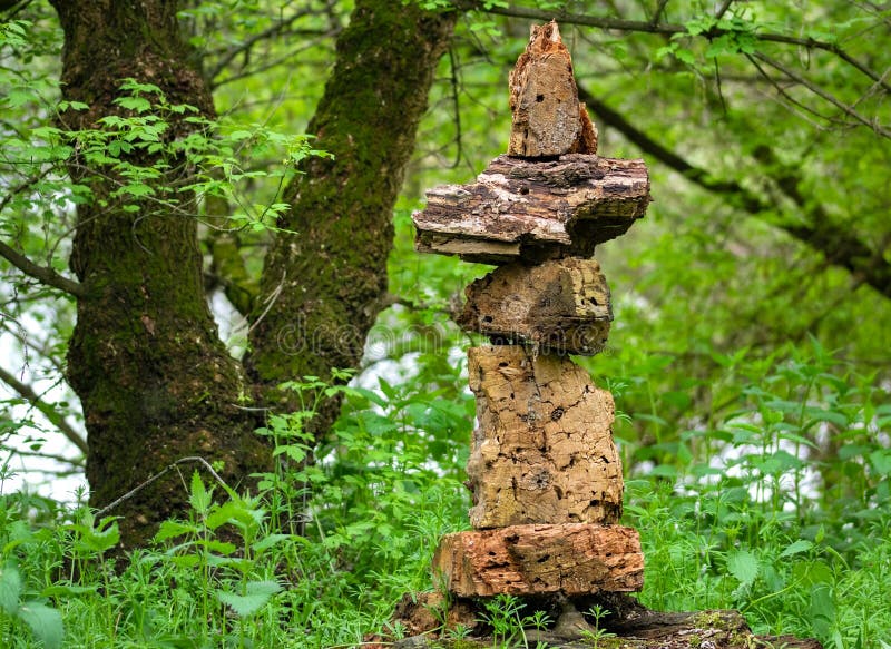 Cut Dead Trees Looks Like a Face Stock Photo - Image of environment ...