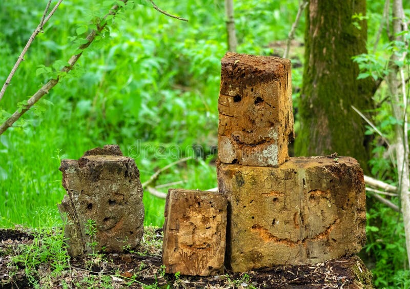 Cut Dead Trees Looks Like a Face Stock Photo - Image of grass, circle ...