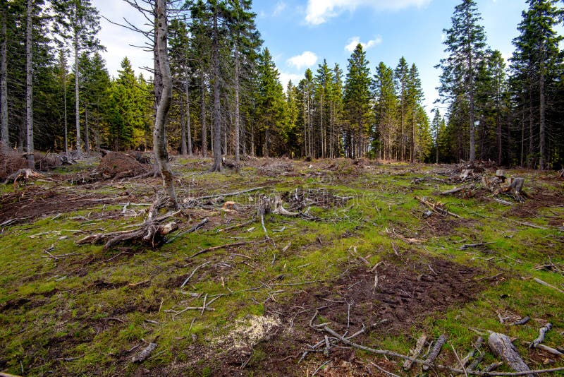 Deforestation in Mountainous Areas, Maseru Lesotho. Stock Photo - Image ...