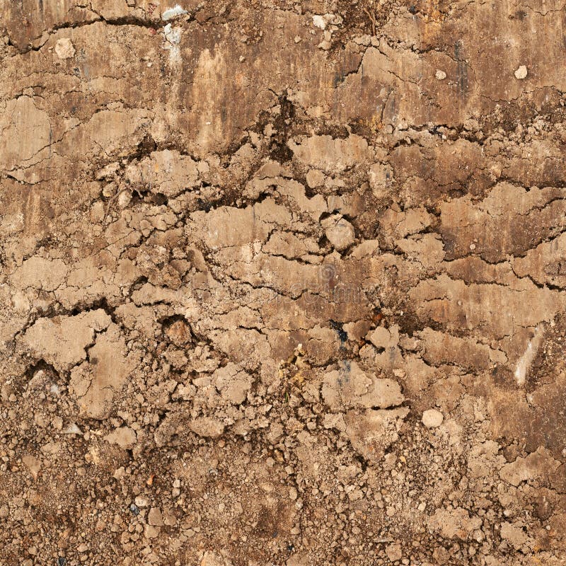 Cut of the earth soil stock photo. Image of environment - 44980208