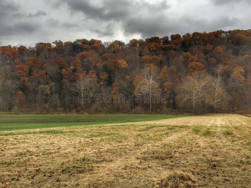 Cut field stock photo. Image of cloudy, fall, field, farm - 77727210