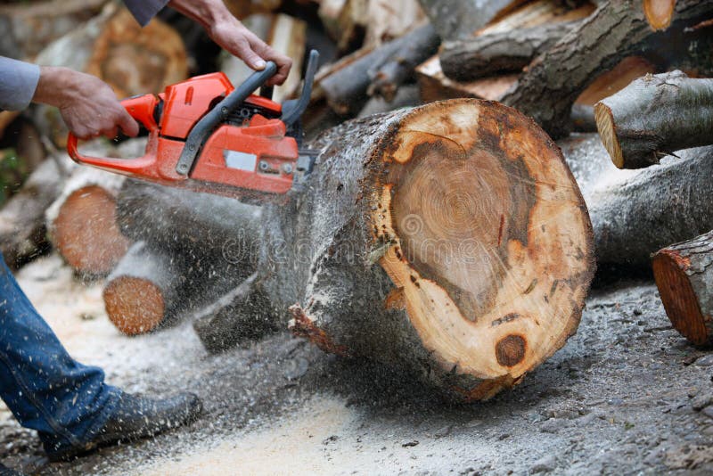 Cut firewood stock photo. Image of human, industry, business - 22535544
