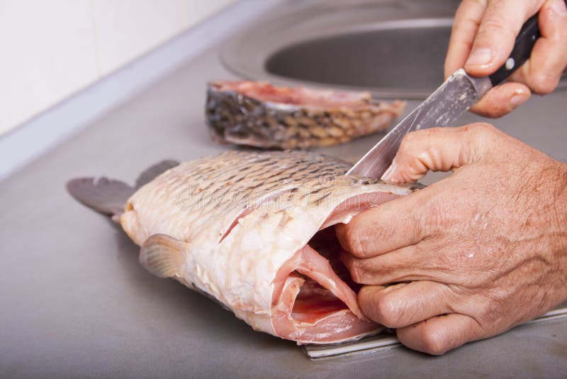 Cut fish stock photo. Image of domestic, feline, portrait - 26955354