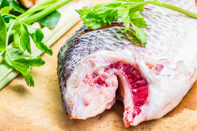 212 Fish Cube Cut Photos - Free & Royalty-Free Stock Photos from Dreamstime