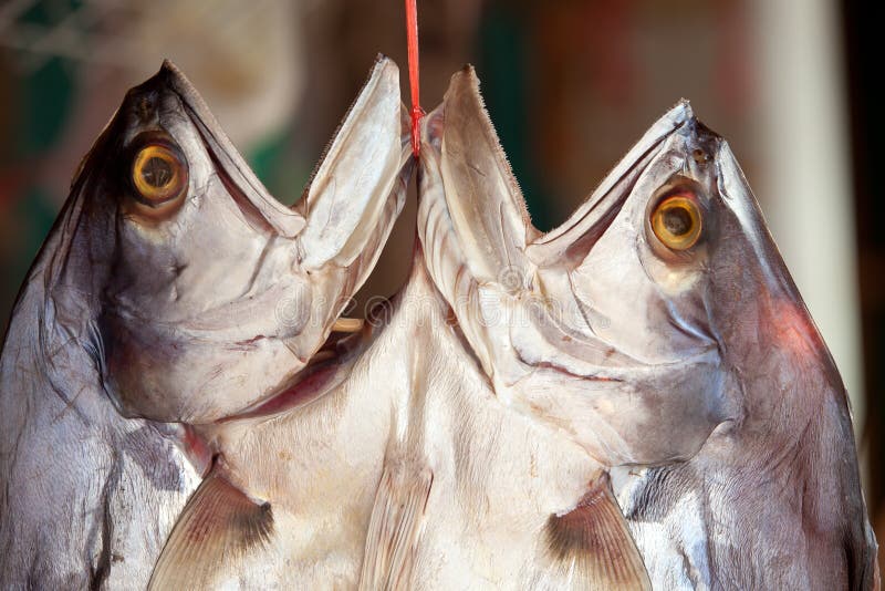 Cut fish in marker stock image. Image of market, asian - 19792537