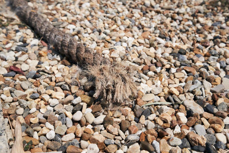 Cut and Frayed Rope on the Ground. Stock Photo - Image of pattern ...