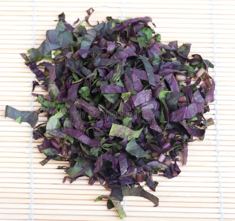 Cut fresh basil stock photo. Image of background, preparation - 27102214