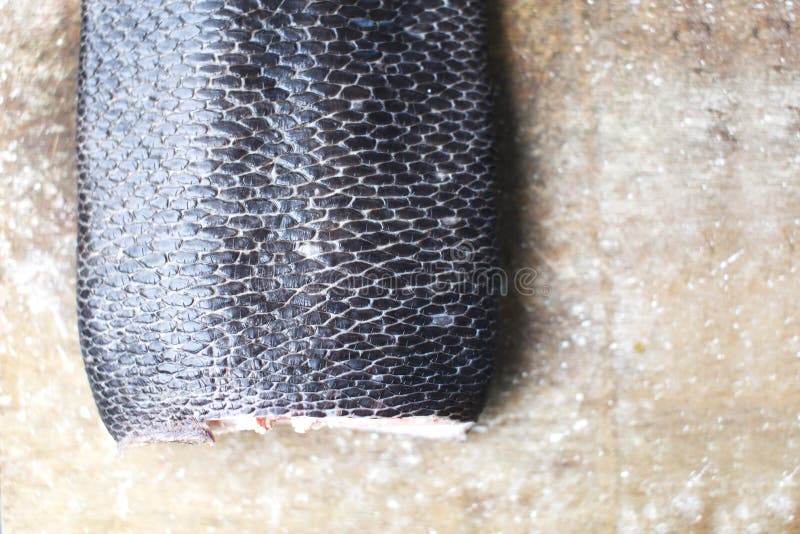 Cut of fresh beaver tail stock image. Image of food, canadian - 65166817