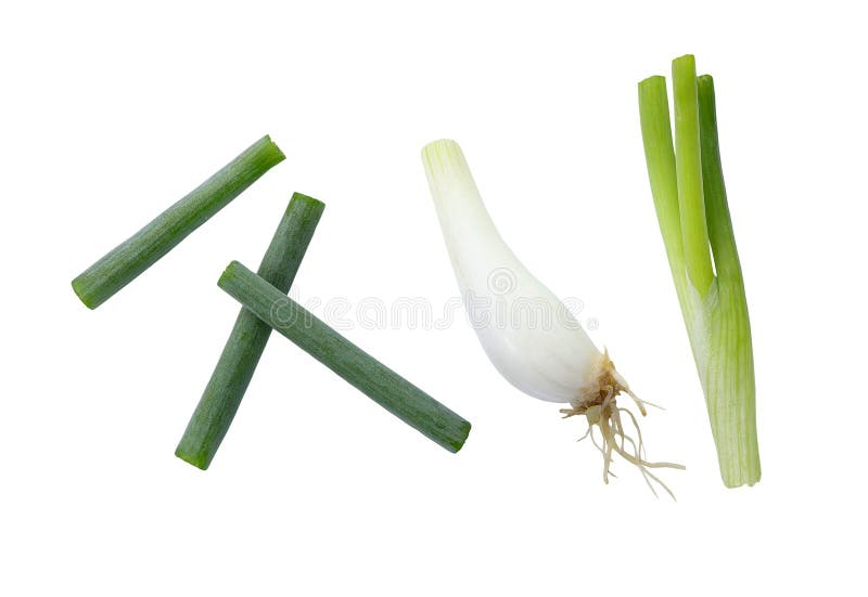 Cut Fresh Green Onion. Fresh Green Onion Slices Isolated on White ...