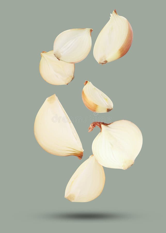 Cut Fresh Onions Falling on Light Grey Background Stock Image - Image ...