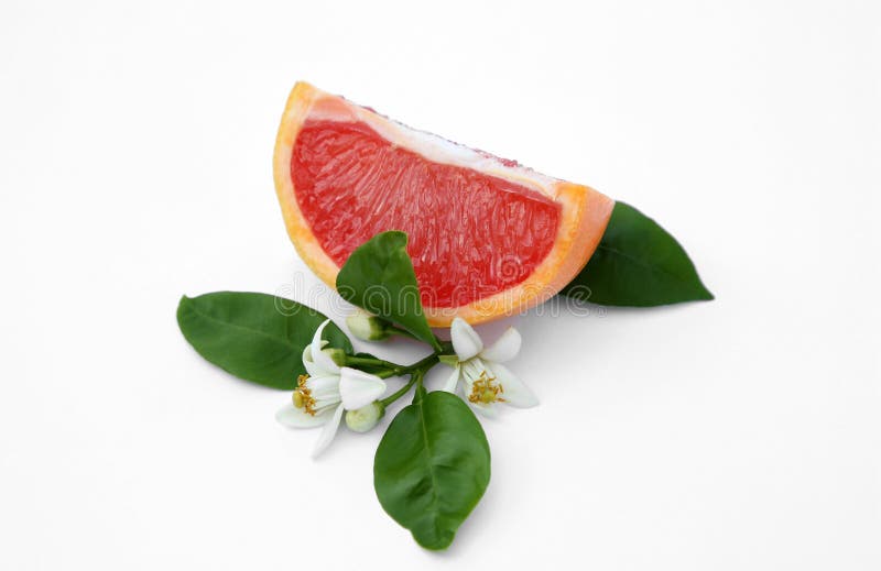 Cut Fresh Ripe Grapefruit and Green Leaves on White Background Stock ...