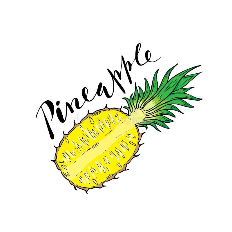 The Cut Fruit of Pineapple on a White Background with the Word ...