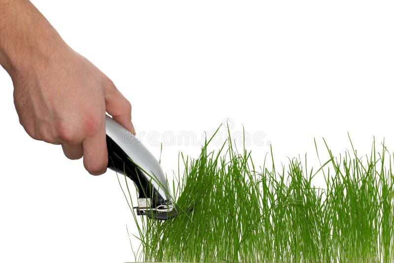 Cut green grass stock image. Image of meadow, color, grass - 3630583