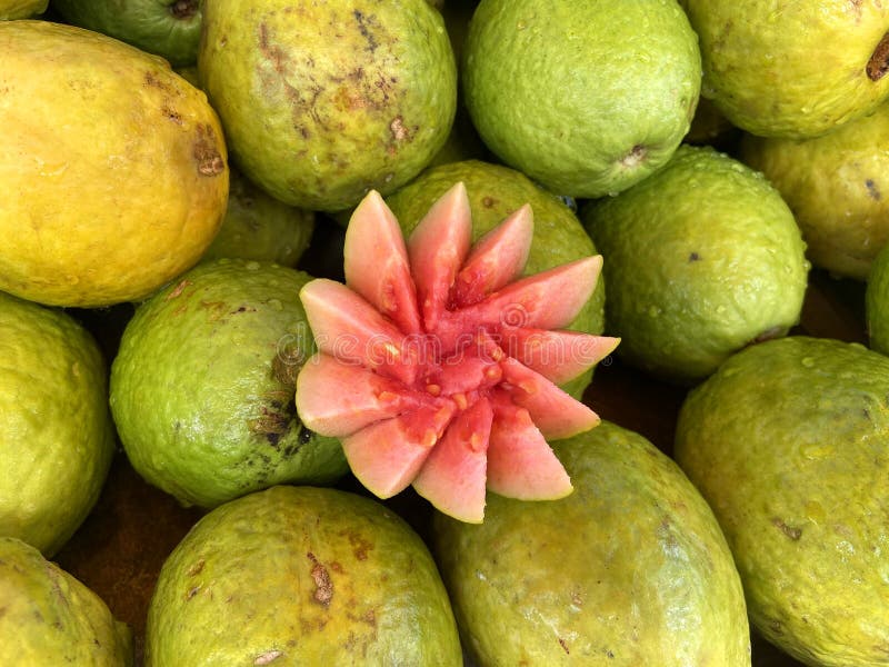 Sliced cut Guava fruit stock photo. Image of indian - 169100114