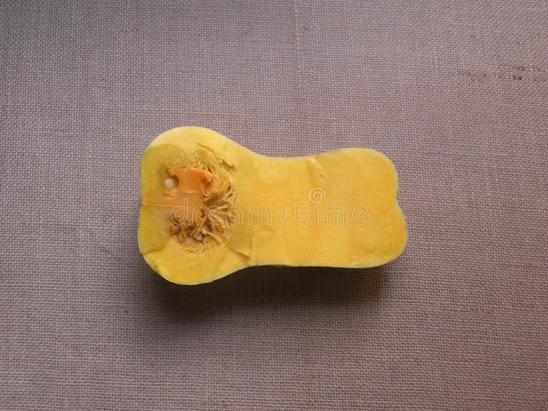 Cut Half of Butternut Squash Stock Photo - Image of nutrition, squash ...