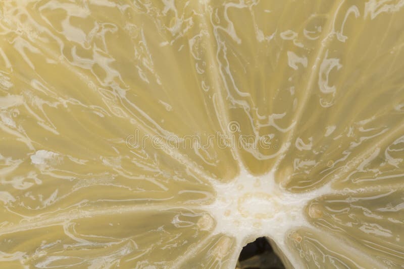 Cut lemon stock photo. Image of yellow, isolated, closeup - 37898246