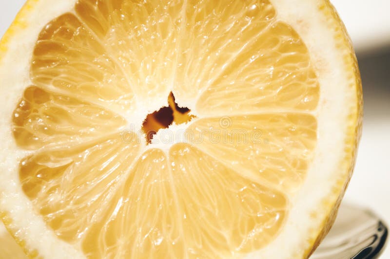 Cut Lemon on a White Background Stock Image - Image of leaf, ingredient ...