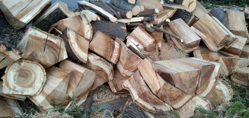 Cut Log Tree Side Road stock photo. Image of side, produce - 203587330