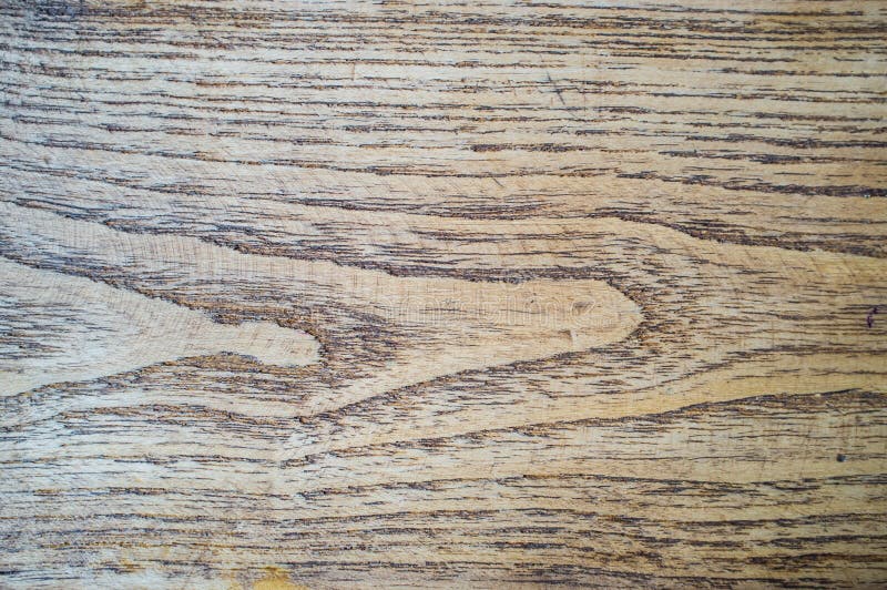 Wood Grain Detail stock photo. Image of board, wood, plank - 5322662