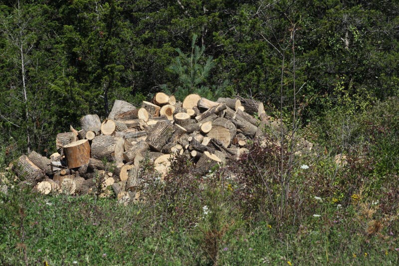 Cut Short Log Lengths Stock Photos - Free & Royalty-Free Stock Photos ...