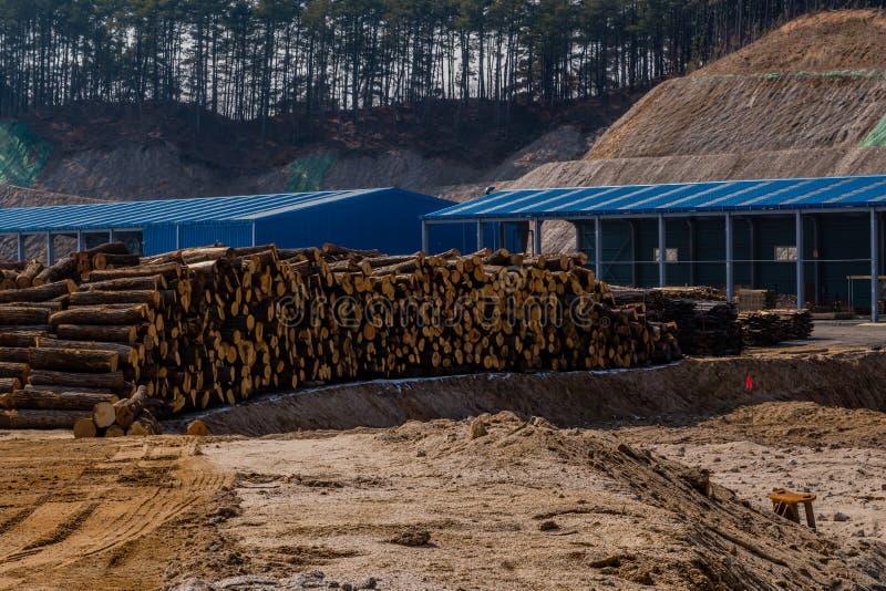 Cut logs at logging camp stock image. Image of company - 173454159