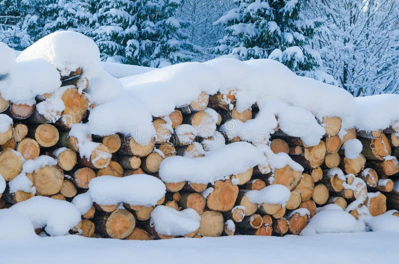 Cut Logs in a Winter Wood Under Snowdrifts Stock Image - Image of ...