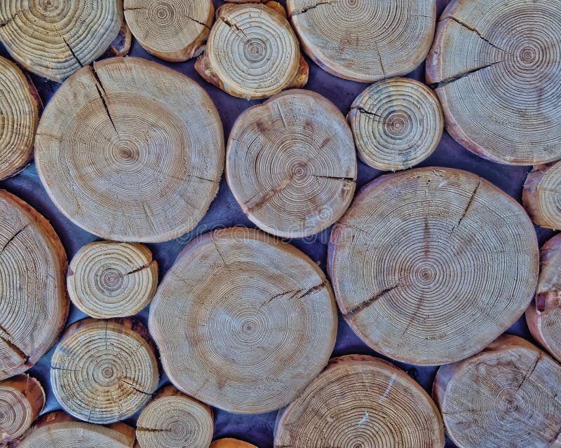 Cut logs, wood background stock image. Image of nature - 48318159