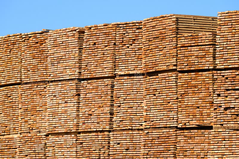 Cut Lumber Boards Stacked in Large Quantity Under Blue Sky with Ends ...