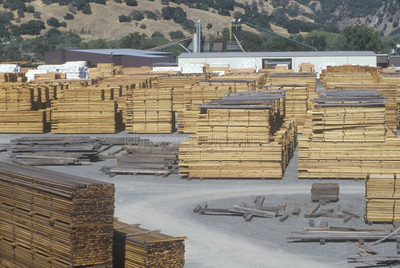 Cut lumber stacked stock photo. Image of america, lumber - 26257234