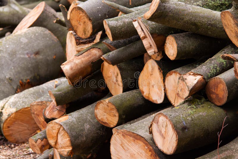 Cut lumber stock photo. Image of wood, industrial, lumber - 45734128