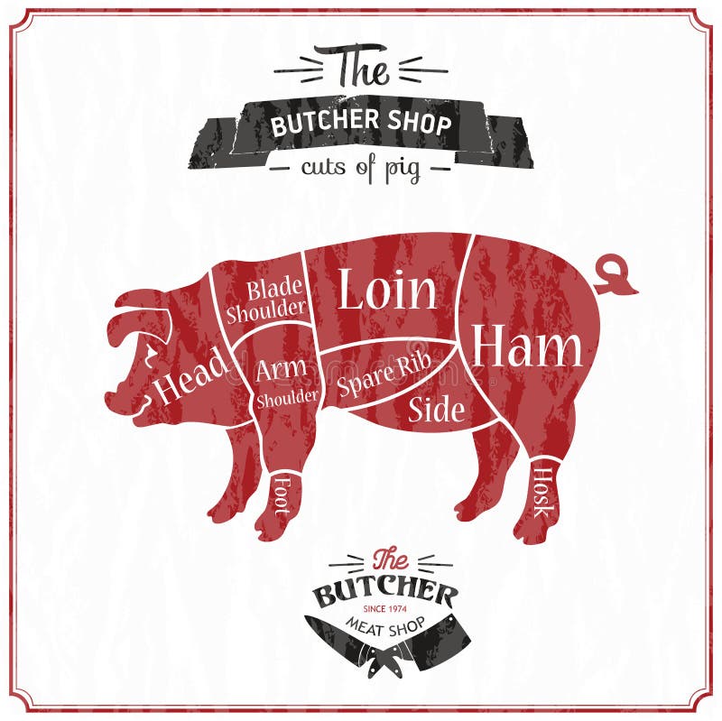 Cut of Meat Set. Poster Butcher Diagram, Scheme and Guide - Pork ...