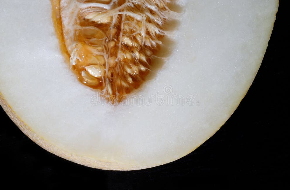 Cut Melon. Seed Inside a Ripe Melon Stock Photo - Image of organic ...