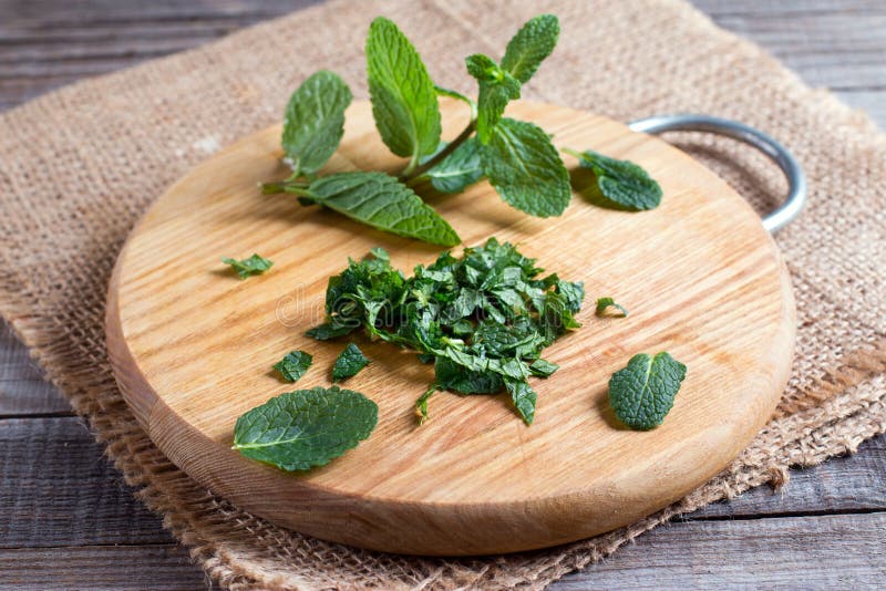 Cut Mint on a Cutting Board Stock Image - Image of leaf, garden: 106396393