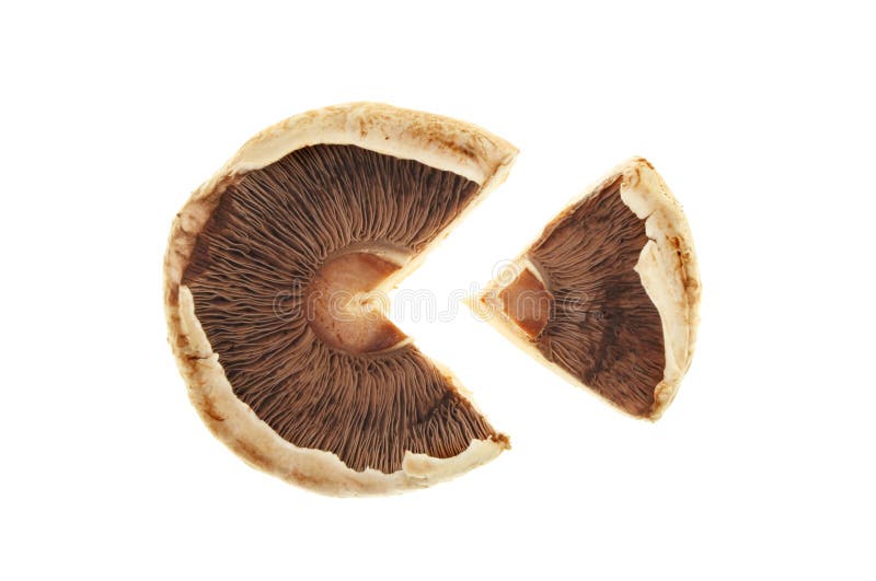 Cut mushroom stock photo. Image of chart, open, ingredient - 22866236