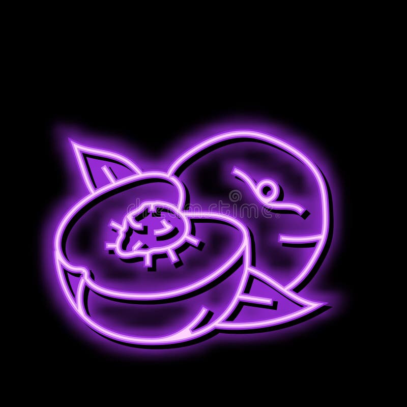 Cut Nectarine Neon Glow Icon Illustration Stock Vector - Illustration ...