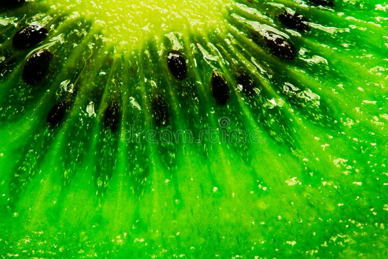 The cut off fruit kivi stock image. Image of seed, peel - 14639419