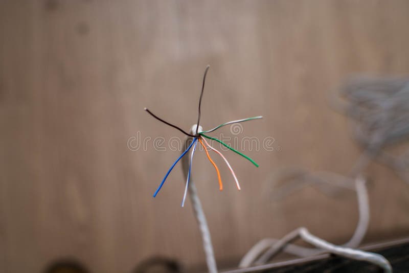 113 Ethernet Damage Cable Stock Photos - Free & Royalty-Free Stock ...