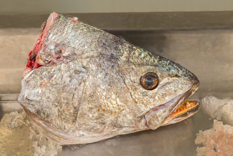 Cut Off Silver Colored Fish Head Stock Photo - Image of cooled, fresh ...