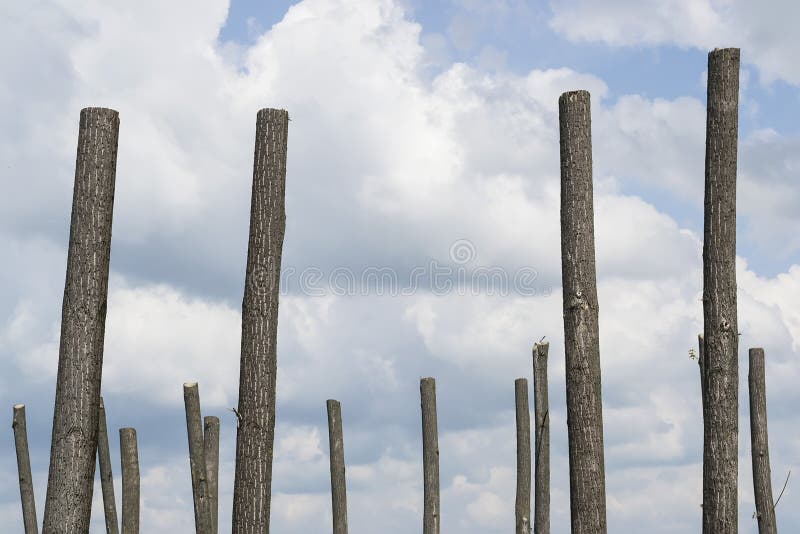 483 Depressing Scenery Photos - Free & Royalty-Free Stock Photos from ...