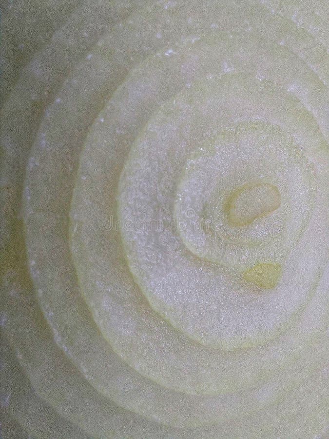 Cut the Onion with Clear Lines on the Inside Stock Image - Image of ...