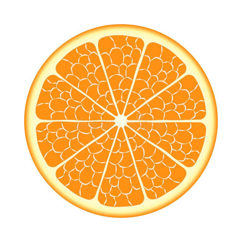 Cut orange fruit stock vector. Illustration of delicious - 70045035