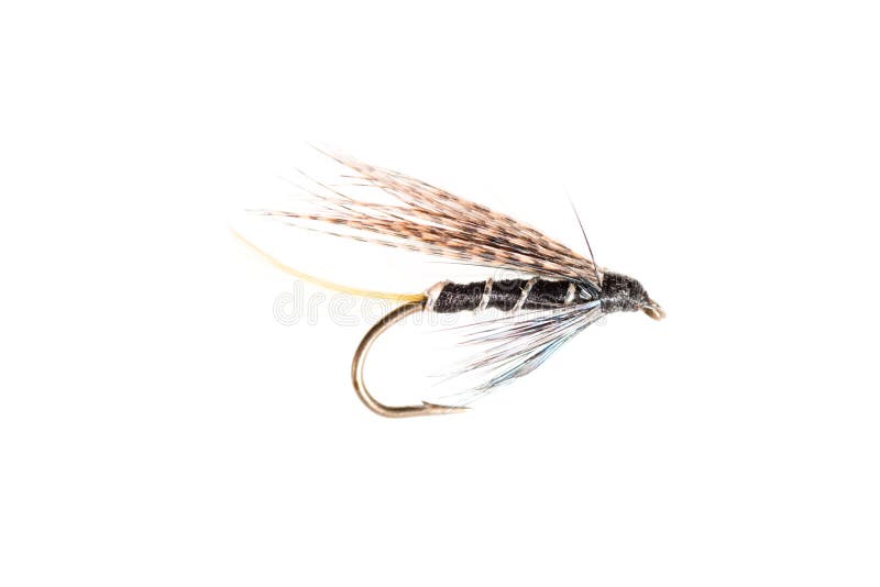 Cut Out of a Trout Fly stock photo. Image of line, artificial - 86291178